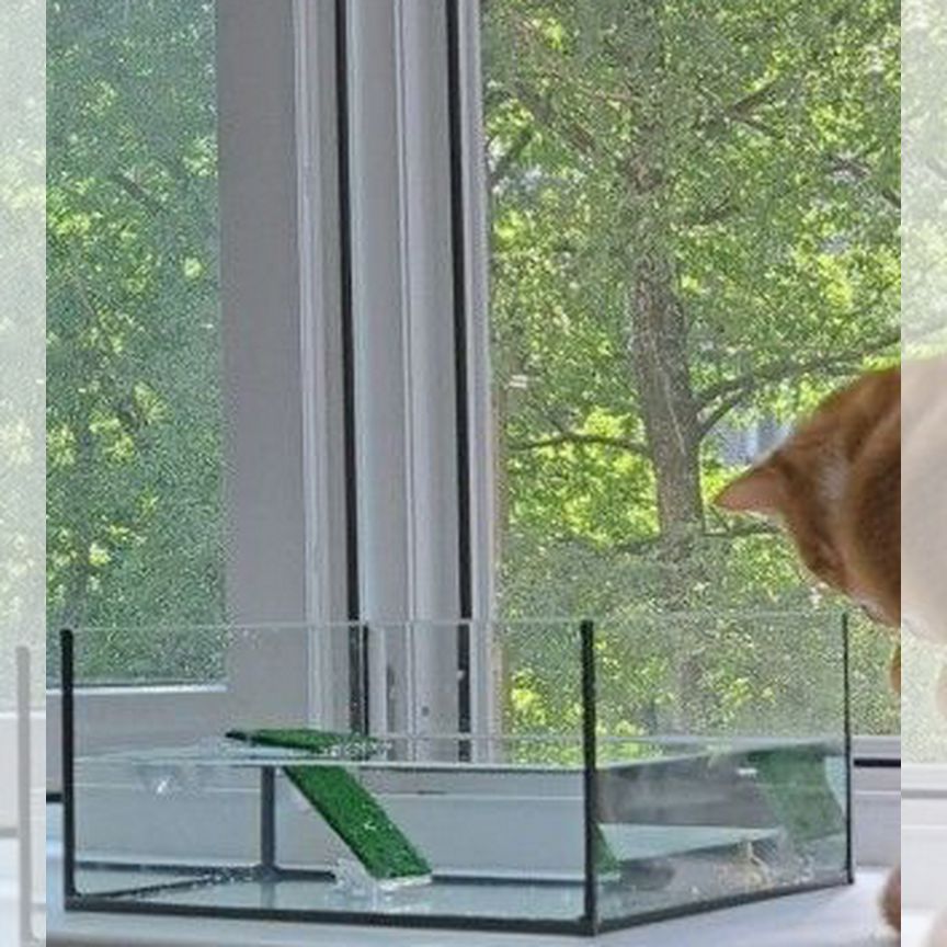 Аквариум / Акватеррариум