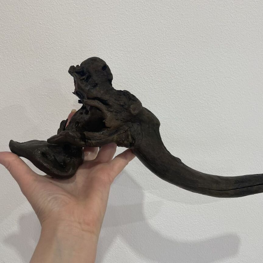 Коряга в аквариум/террариум