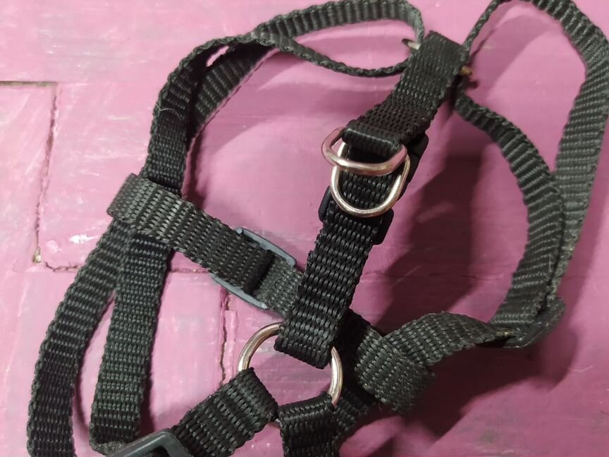 Шлейки для животных
