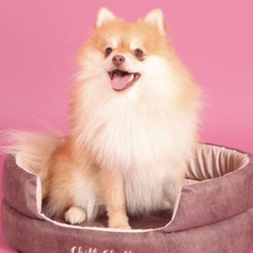 Лежанка для собак и кошек новая