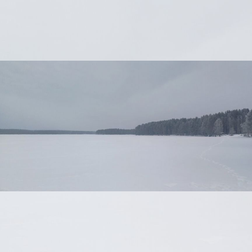 Вальтрап чёрный с дефектом