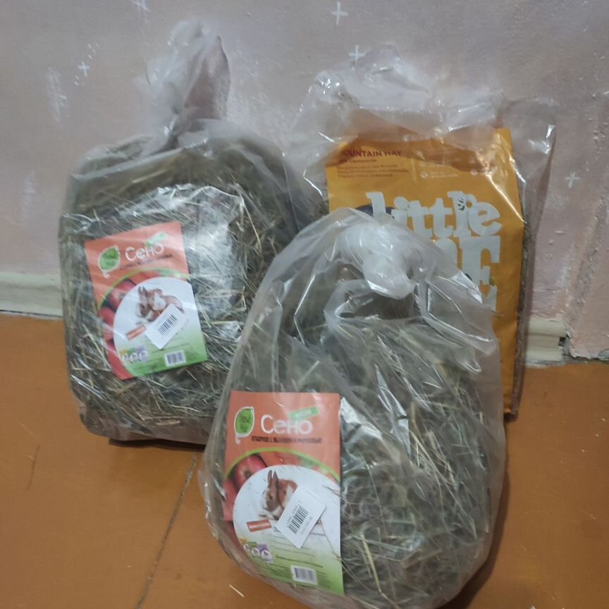 Сено для грызунов