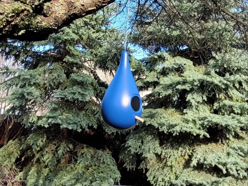 Скворечник