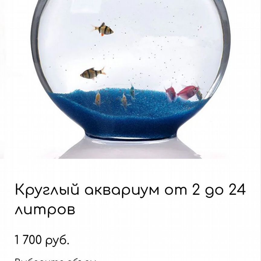 Аквариум для петушка 5 л