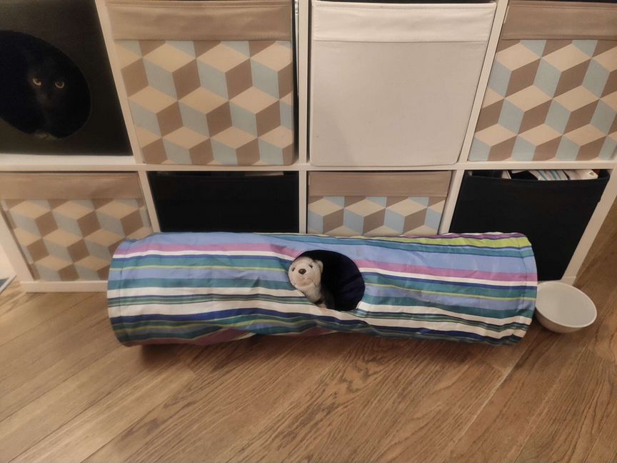 Игровой тоннель для хорьков, кошек,маленьких собак