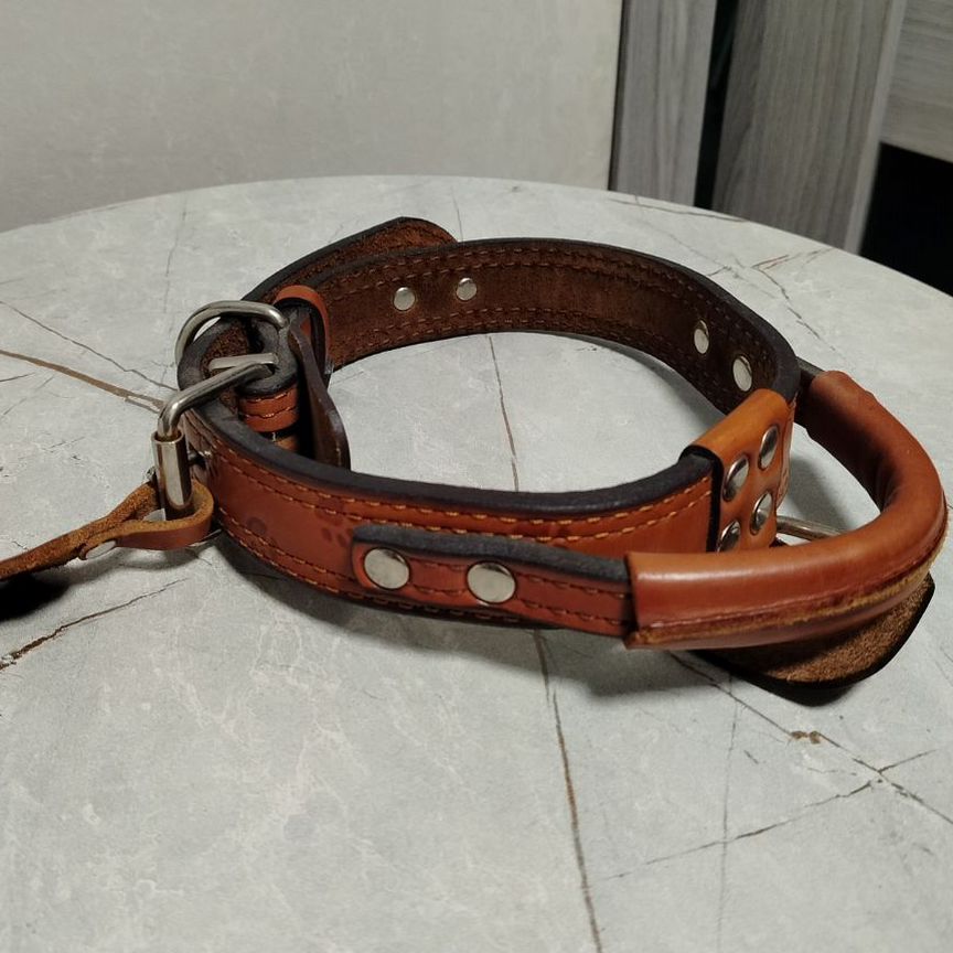 Ошейник для собаки