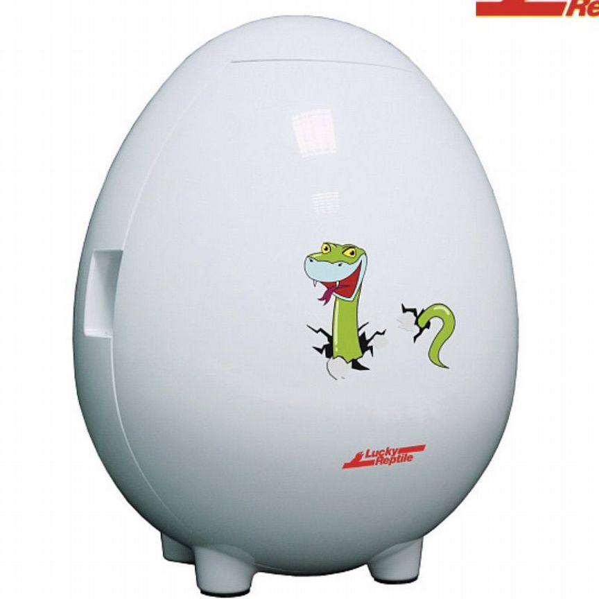 Инкубатор для рептилий