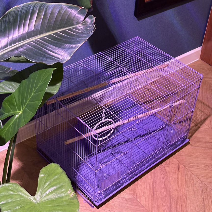 Клетка большая