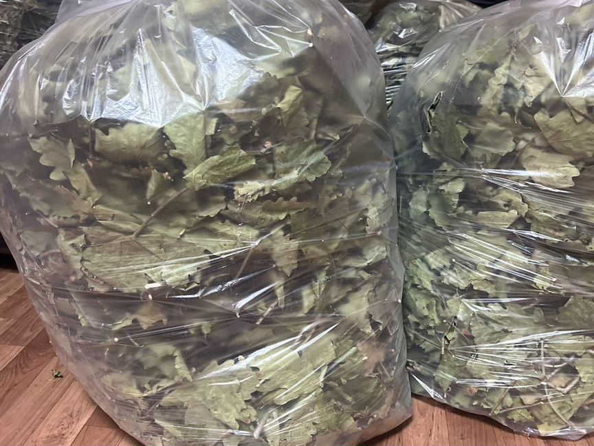 Корм для коз, дубовый лист, ветки