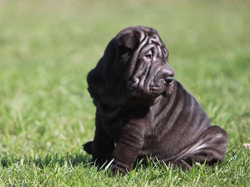 Малыш в складочку