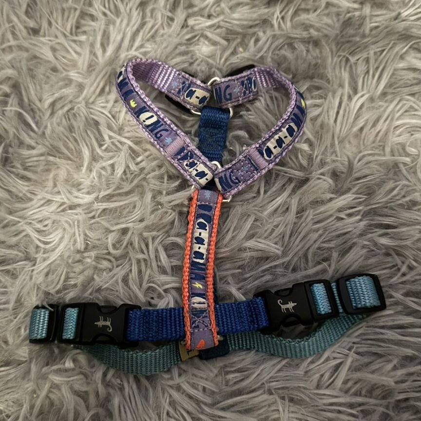 Шлейка шарик дог