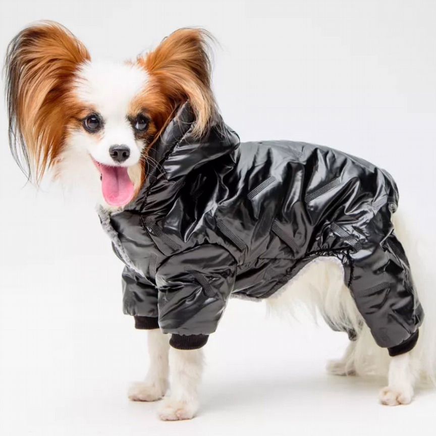 Одежда для маленьких собак