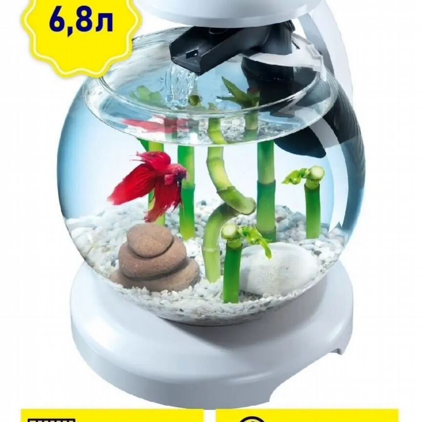Аквариум для рыбок