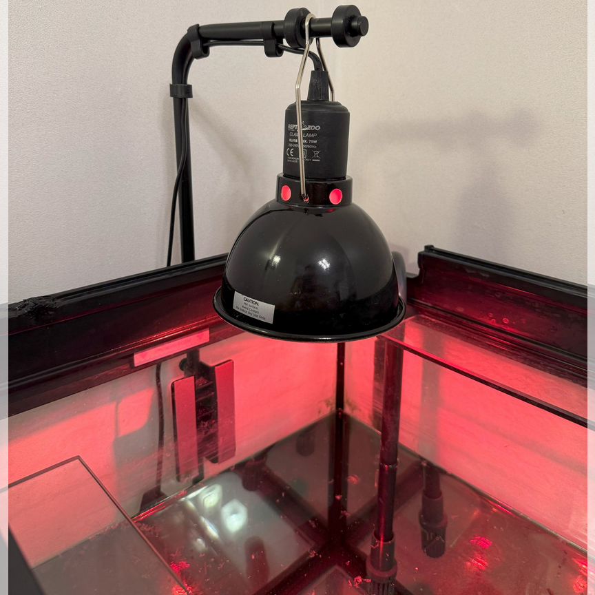 Навесной светильник Repti-Zoo Clamp Lamp 75