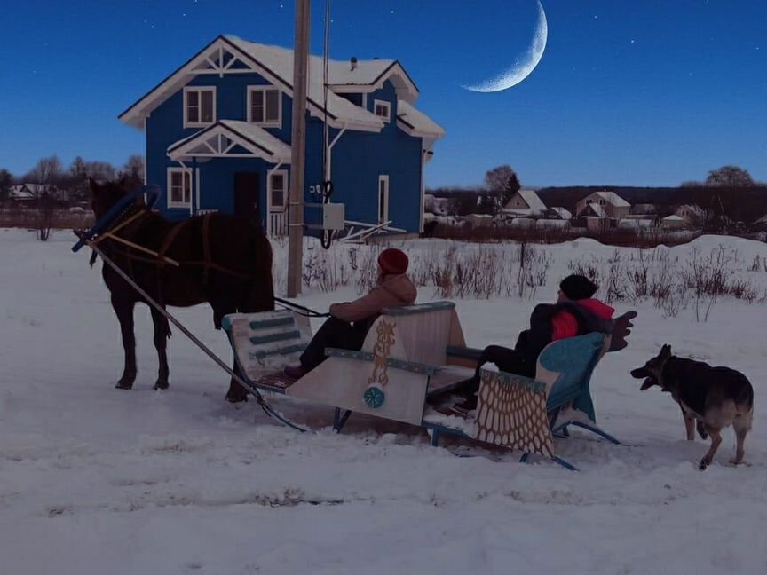 Сани для лошади