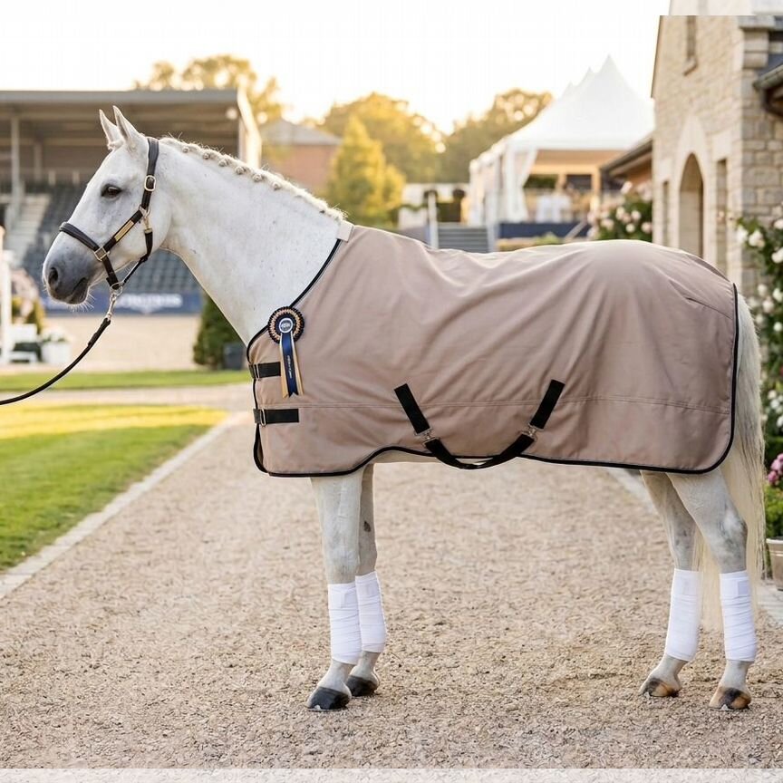 Попона для лошади 145