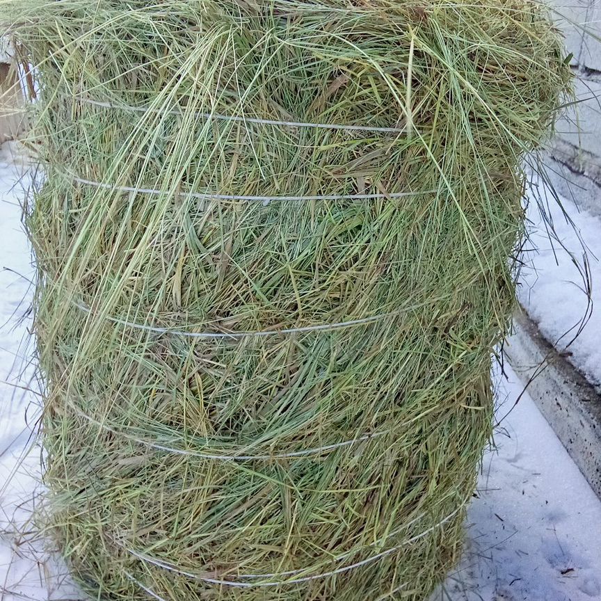 Сено в рулонах