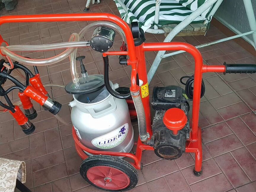 Доильный аппарат для коров