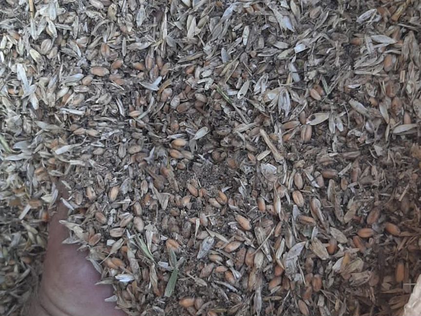 Зерноотходы