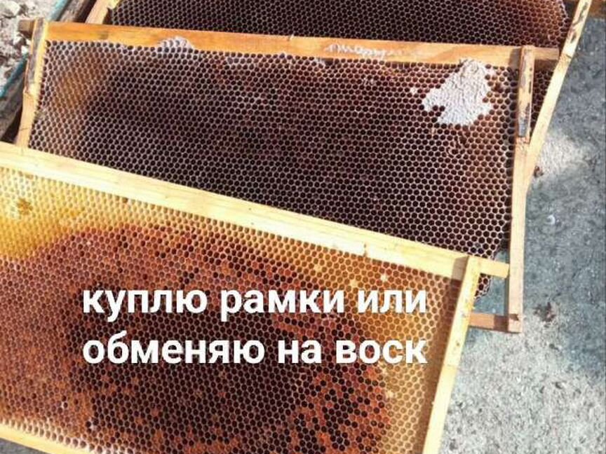 Рамки с сушью