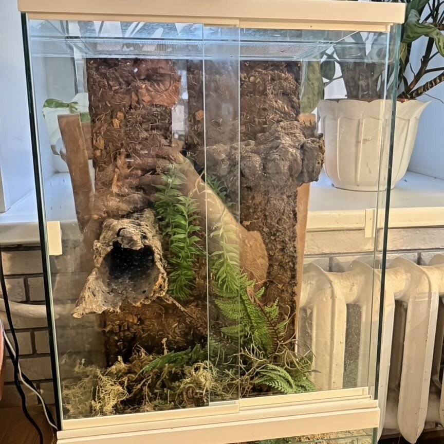 Террариум 30х30х50