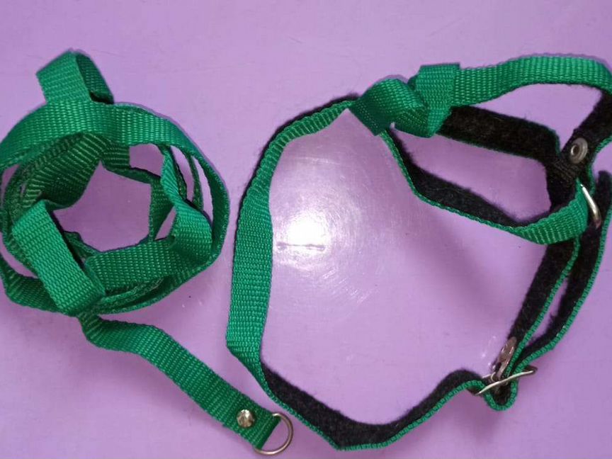 Комплект шлейка и поводок