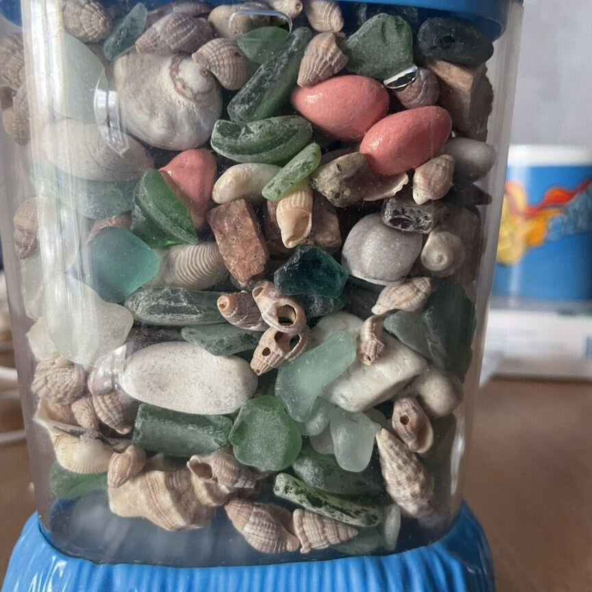 Морские ракушки,камешки
