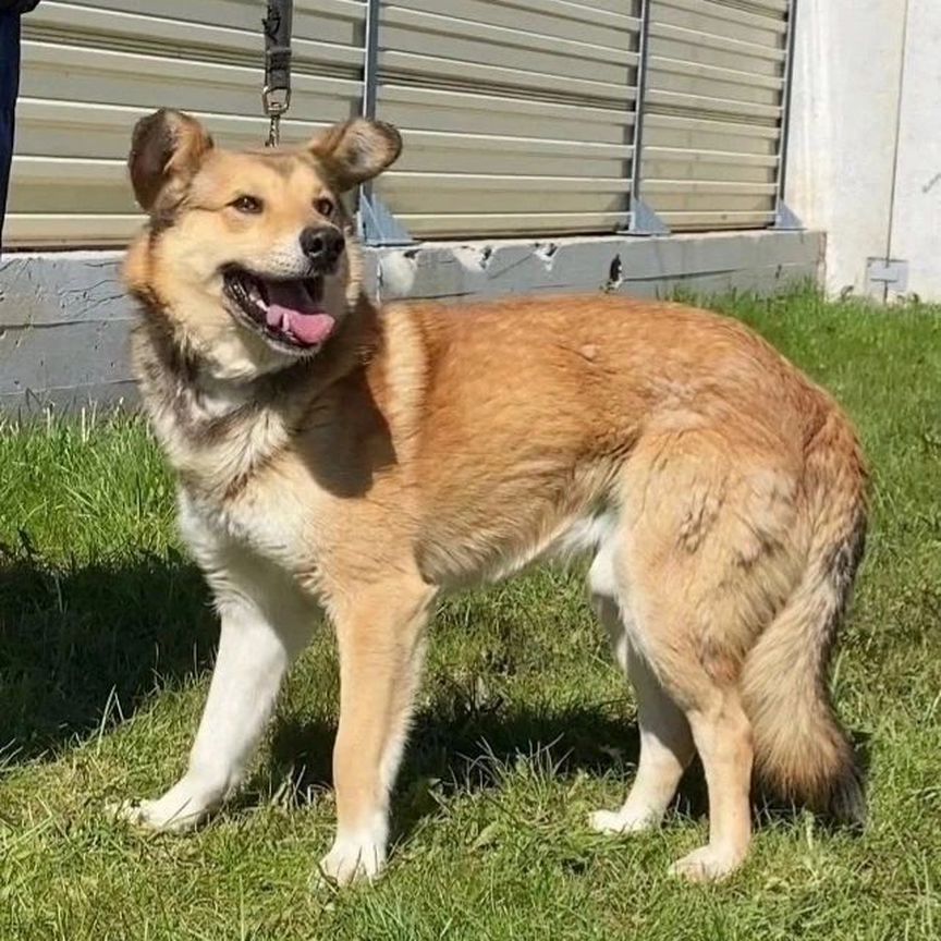 Милый ребёнок Антошка