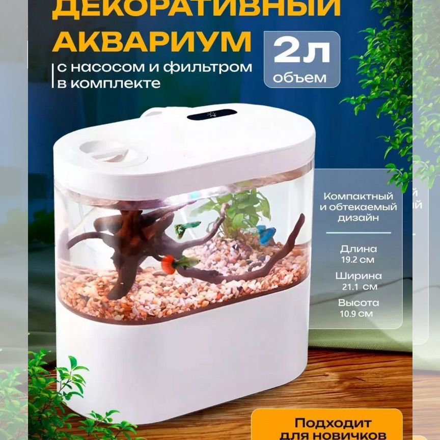 Новый аквариум