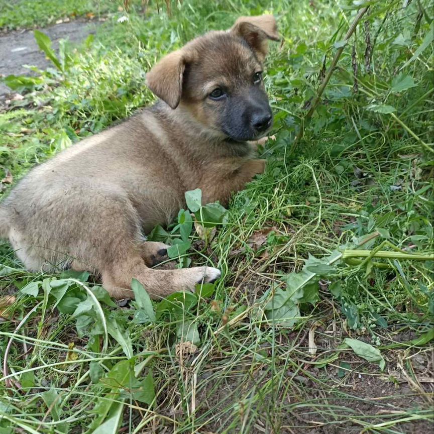 Мне нужна мама