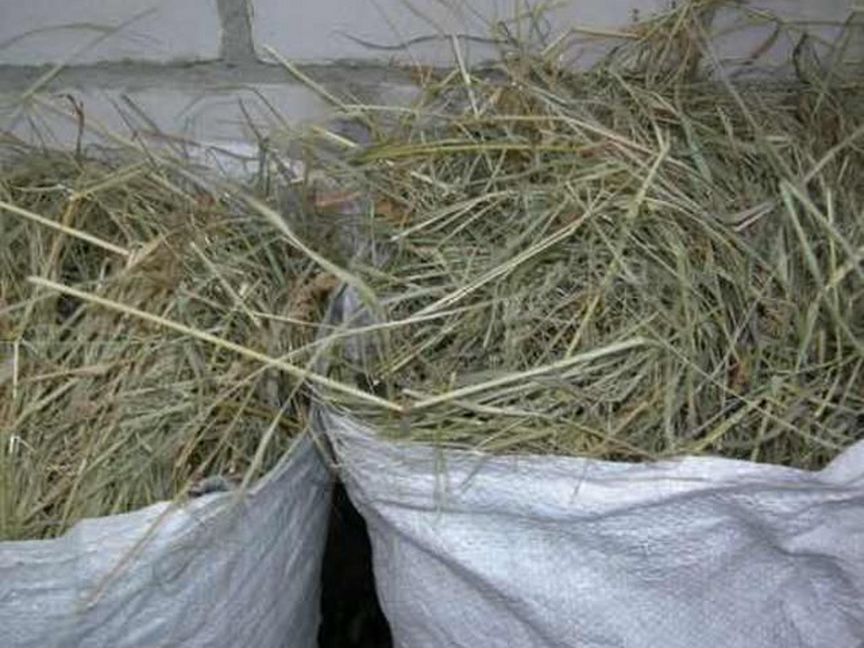 Луговое сено в мешке 50 литров