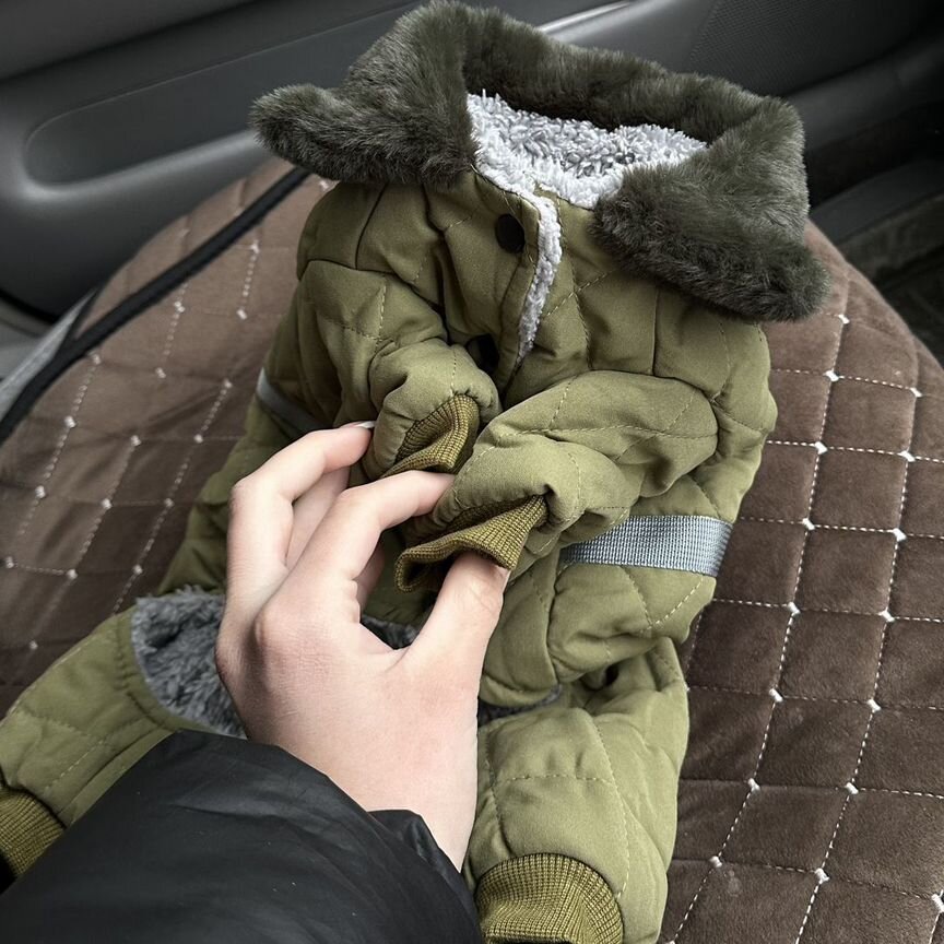 Зимняя одежда для собак