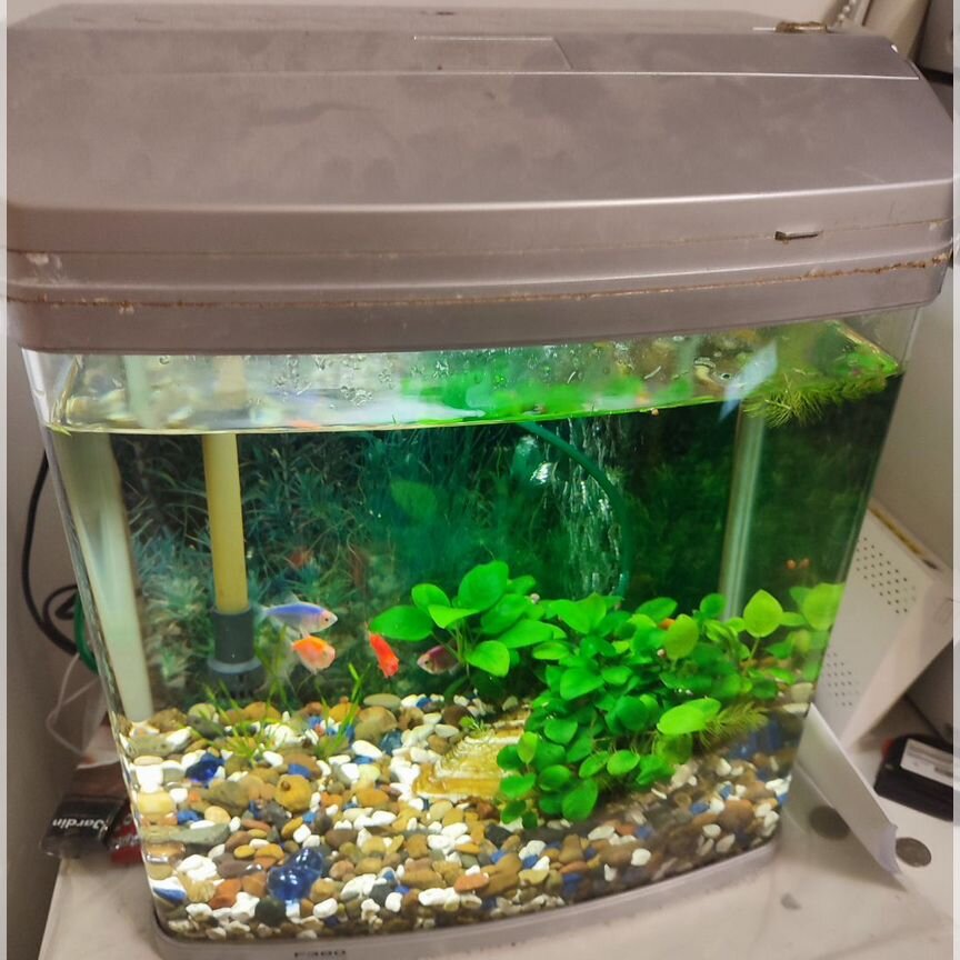 Аквариум 45л  рыбки все полностью