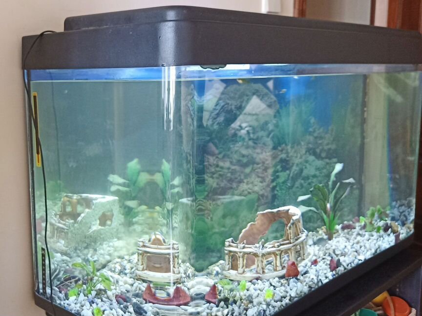 Аквариум