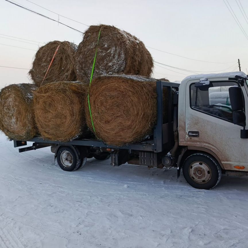 Сельхозкорма