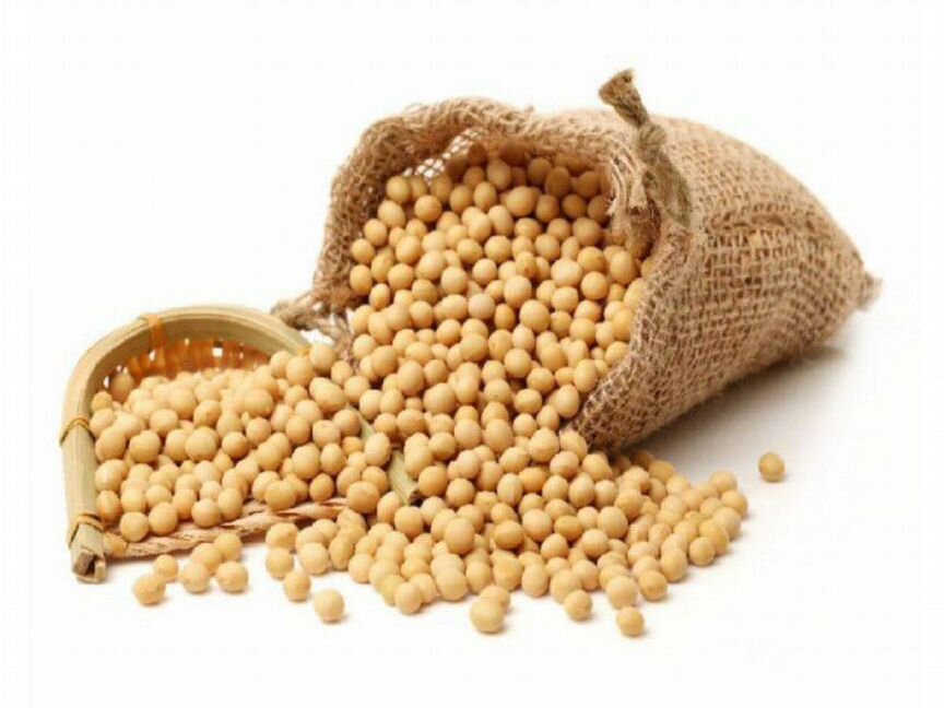 Горох кормовой