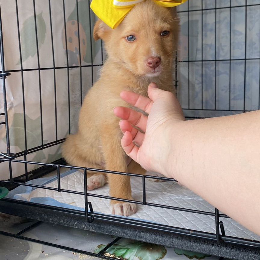 Милая нежная девочка