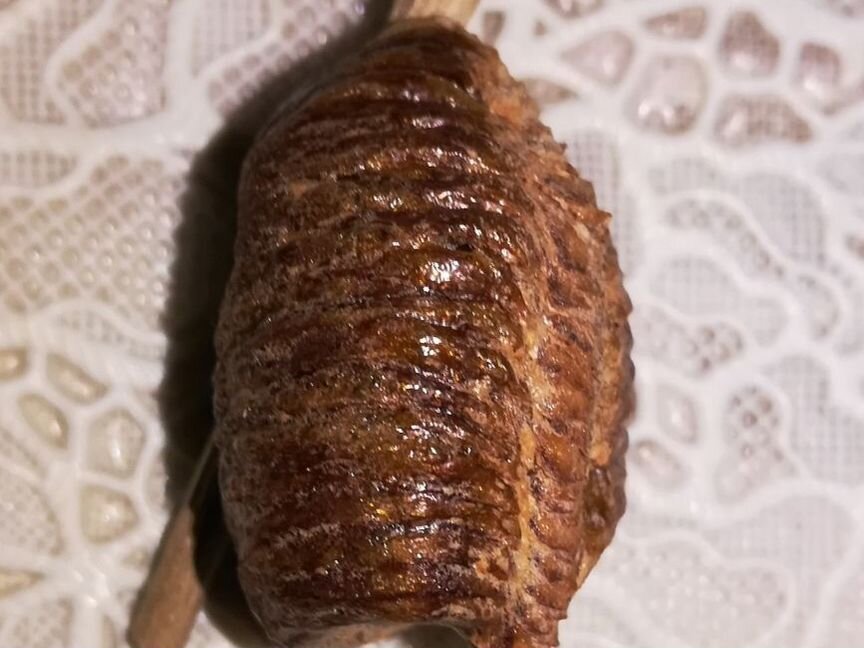 Яйца богомола