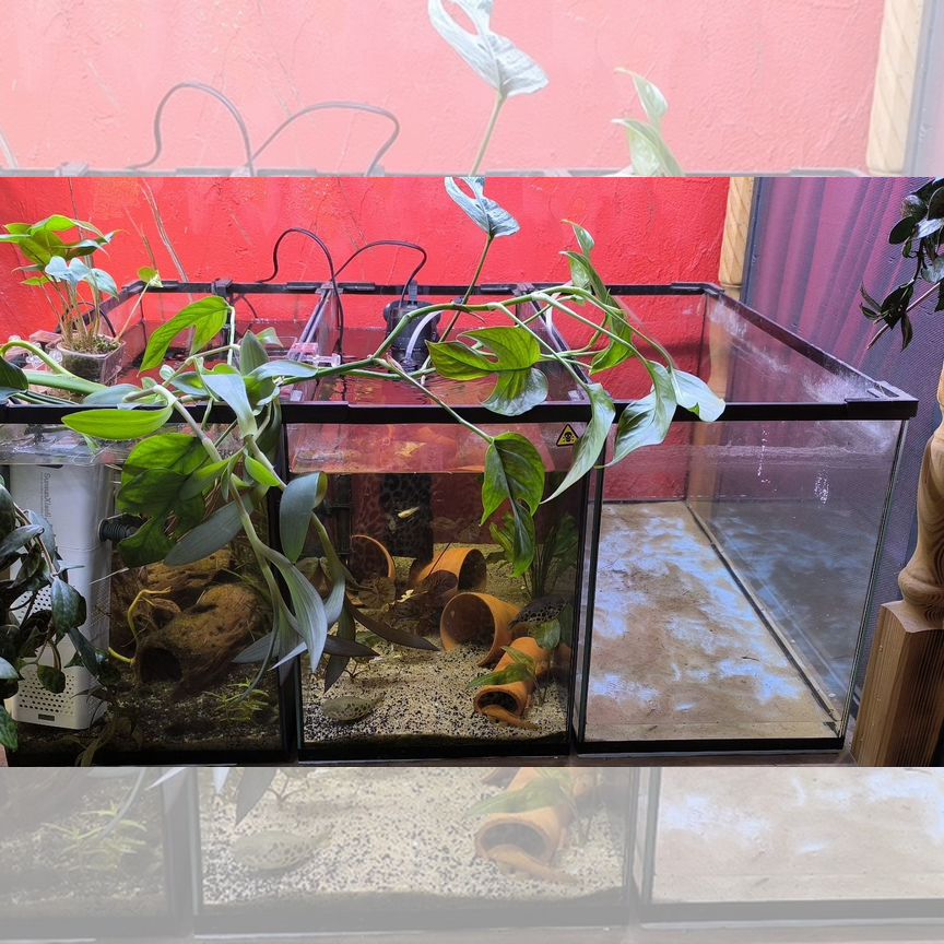 Аквариумы 50л