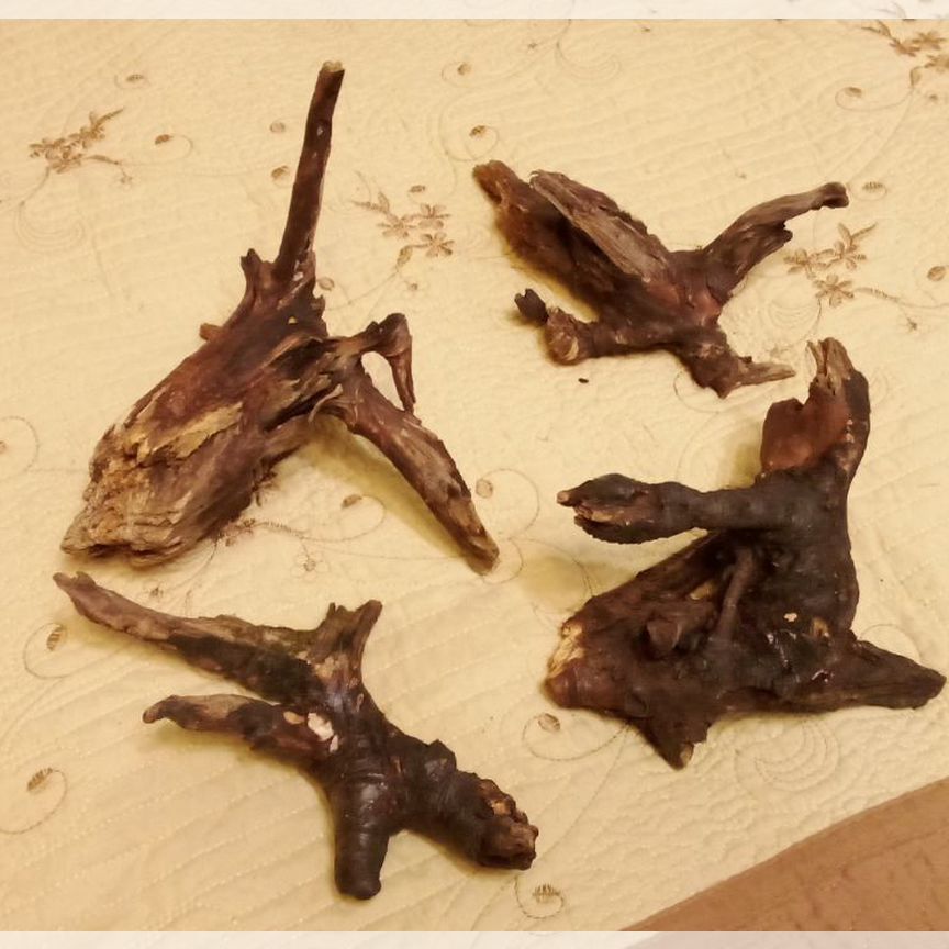 Коряга в террариум