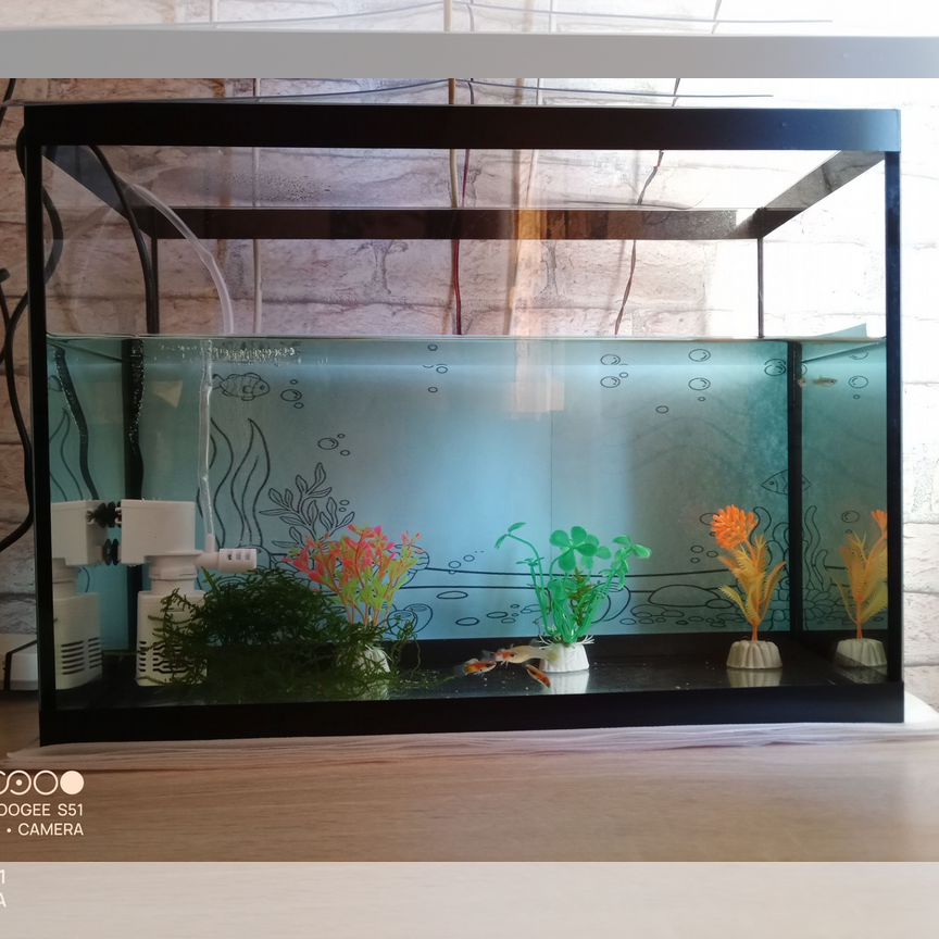 Аквариум 20 литров