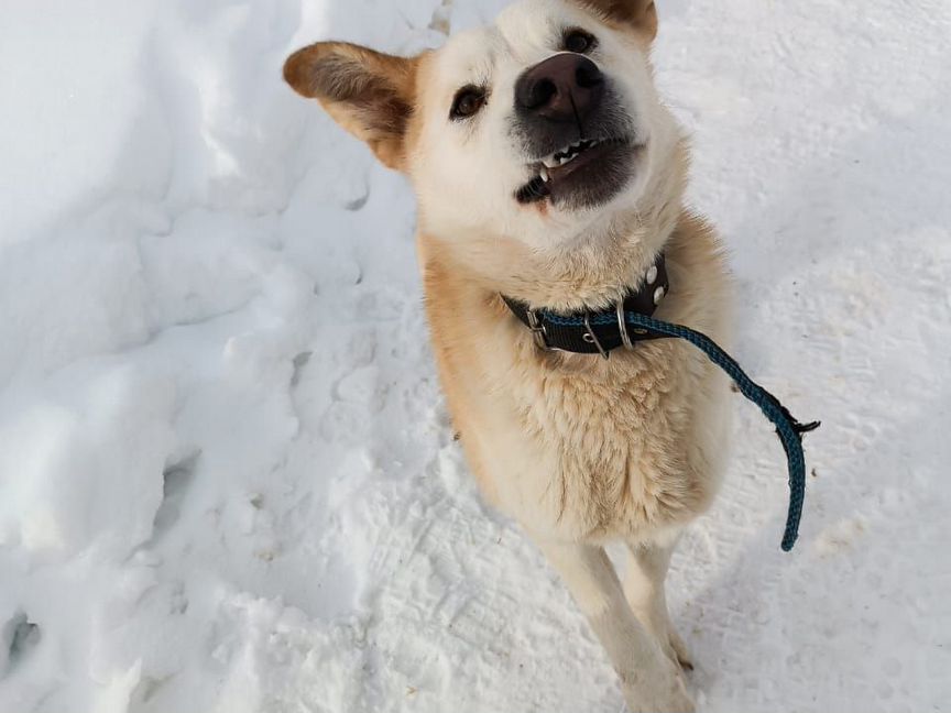 Байкал ждёт человека