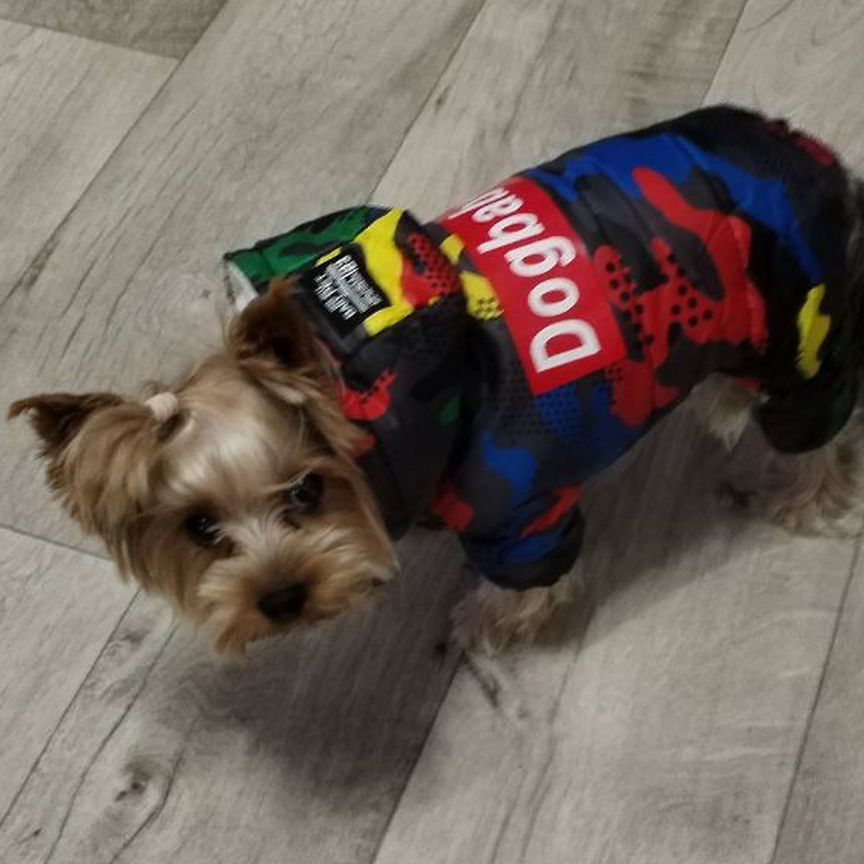 Опытный жених ищет невесту