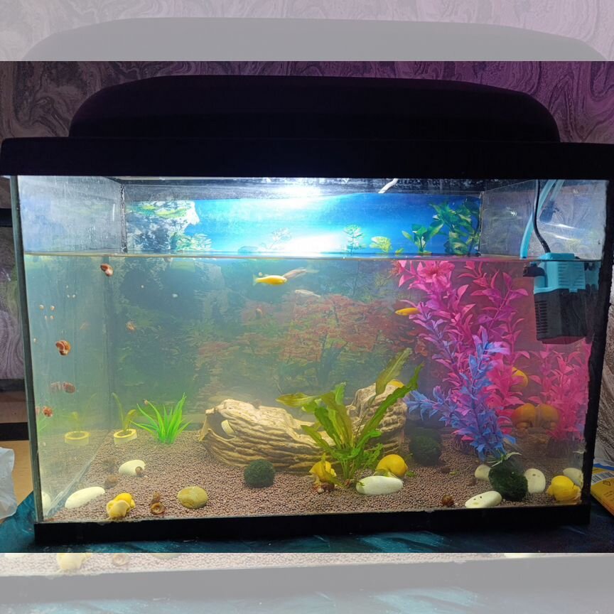 Аквариум с крышкой на 40 литров