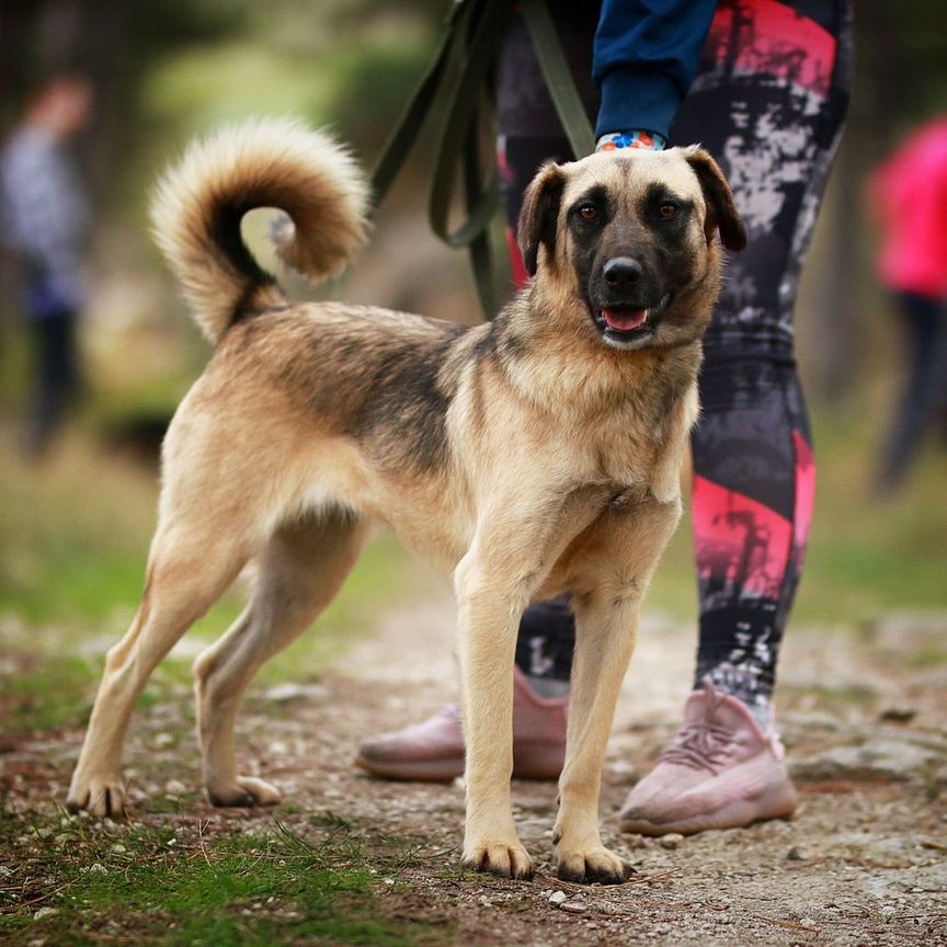 Прада ищет дом