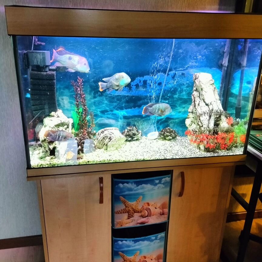 Аквариум с тумбой