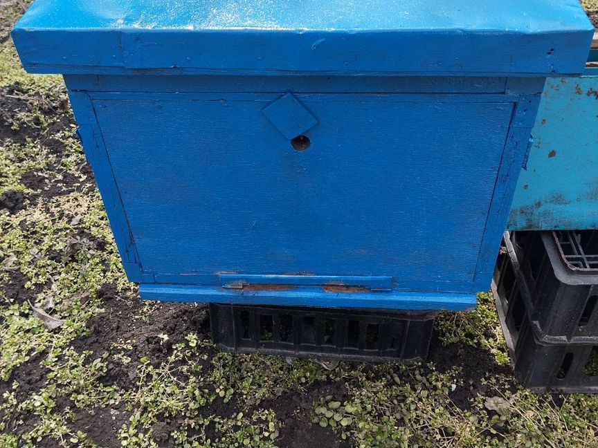 Улей для пчел бу