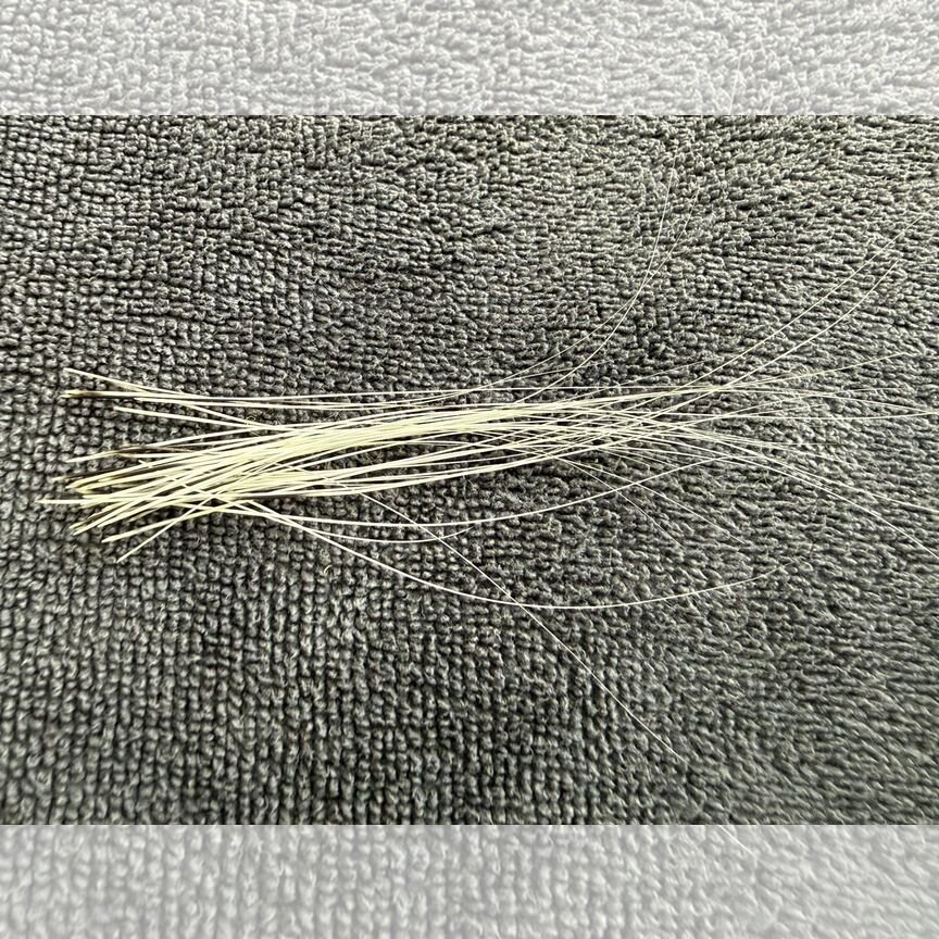 Кошачьи усы