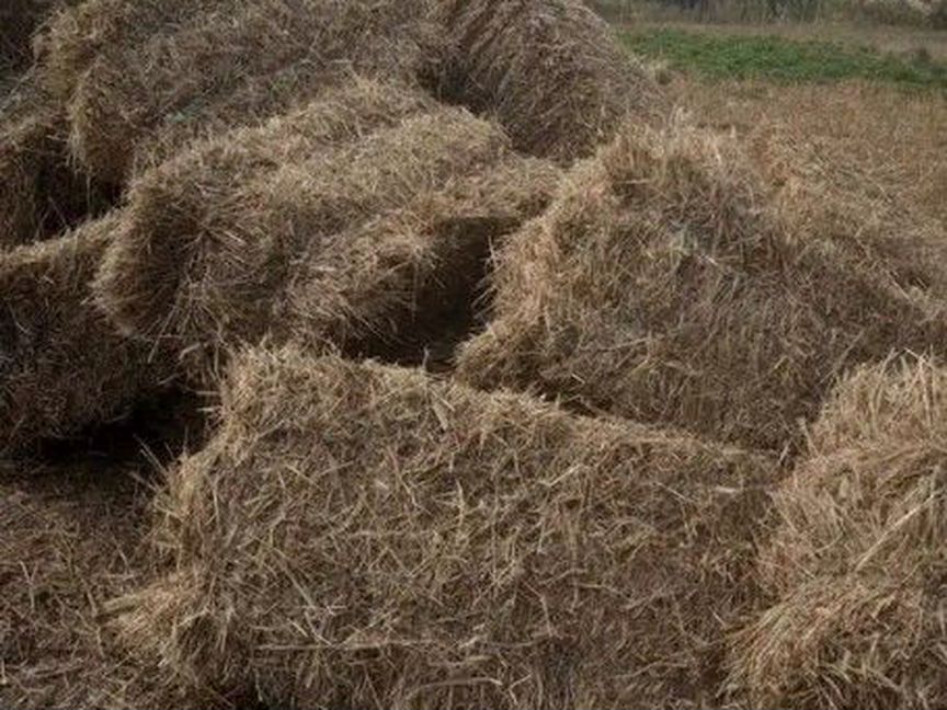 Сено,солома
