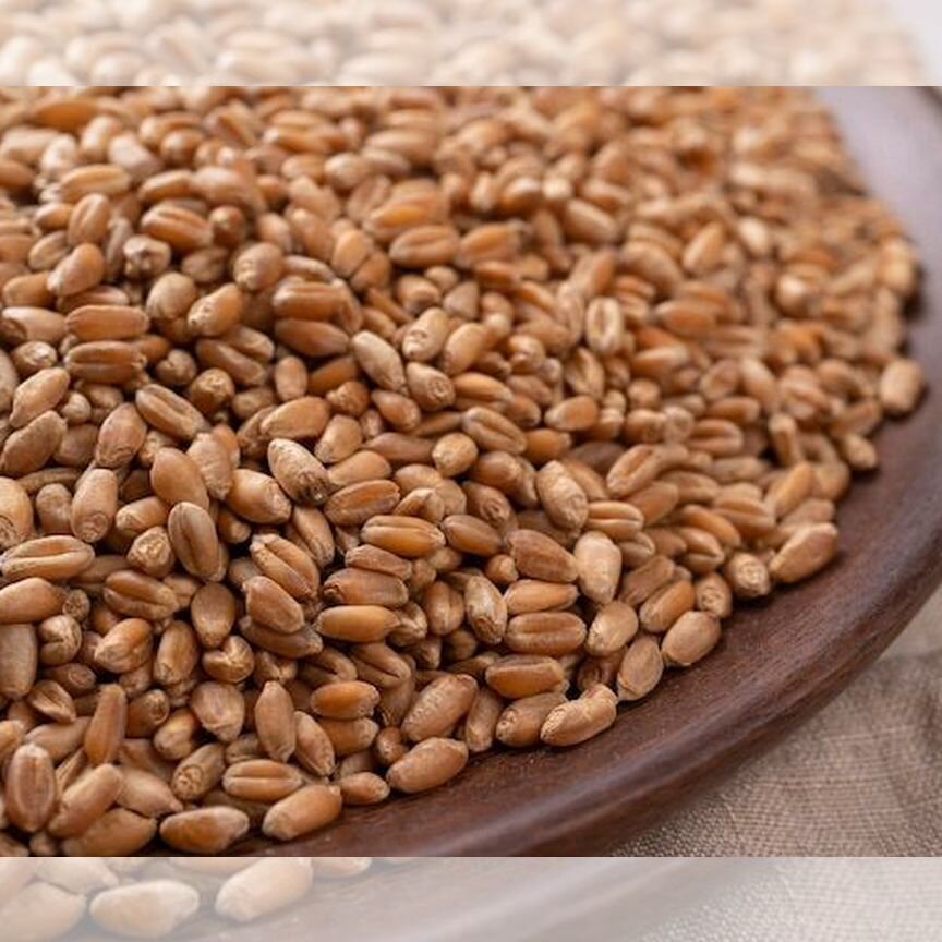 Зерно на корм